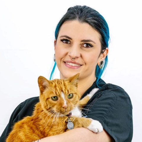 Meet The Team | St Ives Vet