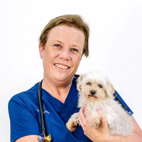 Meet The Team | St Ives Vet